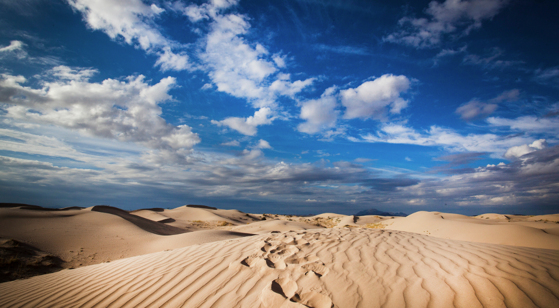 Technology HUB presenta: HUBarte: Una Nueva Plataforma Cultural para ...